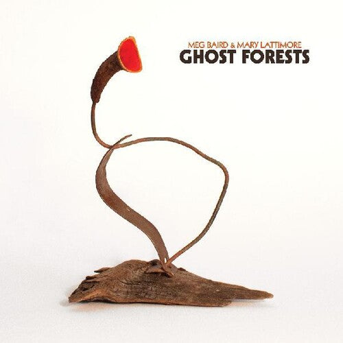 Ghost Forests – Black Hole Records